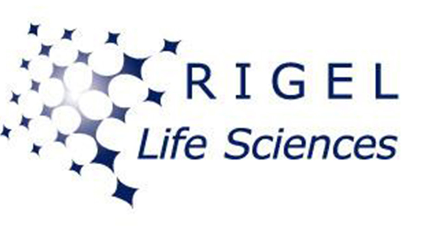 Benvenuti su Rigel Process and Labs - Rigel Process and Lab